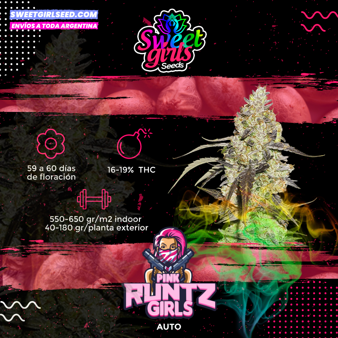 Runtz Girl Automática X 3+1 - Padrino Seeds