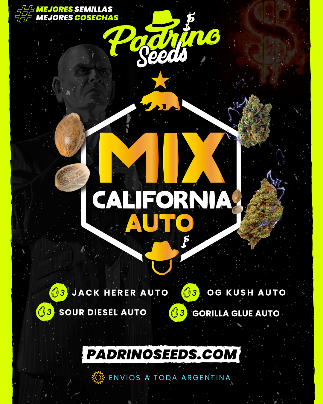 MIX CALIFORNIA AUTO x12 – Padrino Seeds - Padrino Seeds