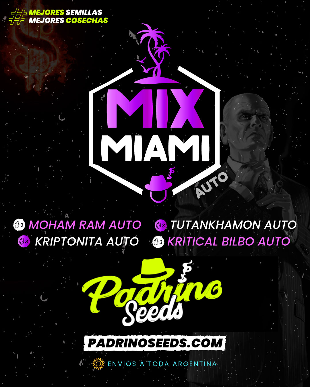 MIX MIAMI AUTO x12 – Padrino Seeds - Padrino Seeds